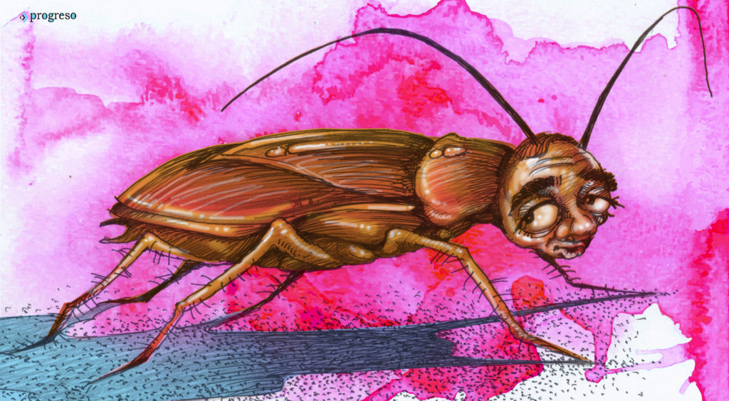 Miami’s best known cockroach is back – still up to no good – Progreso ...