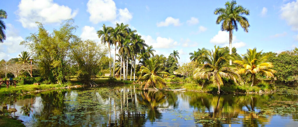 Cuban environmentalists highlight biodiversity protection amid impact ...